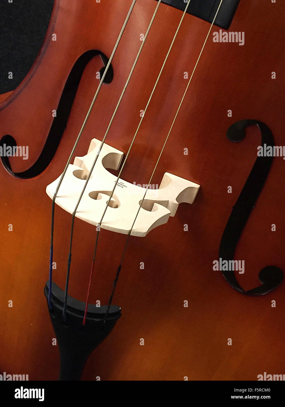 Close-up of Violin Stock Photo - Alamy