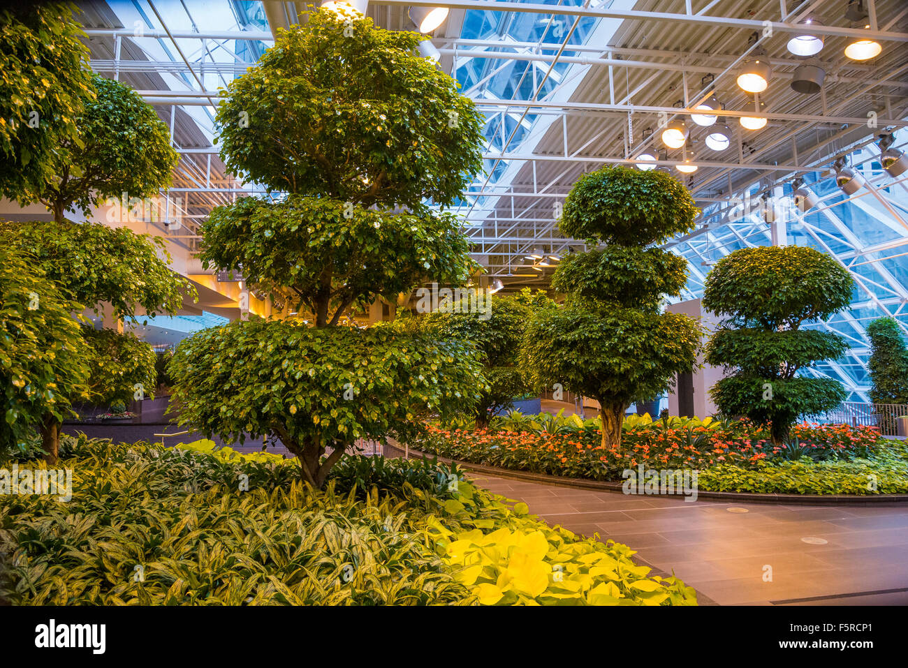 The Devonian Gardens, year round indoor Park, Calgary, Alberta, Canada ...