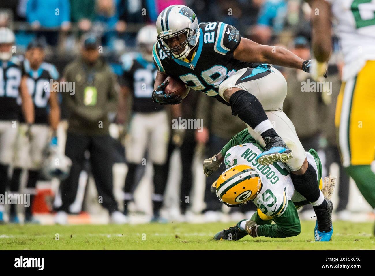 Carolina Panthers running back Jonathan Stewart (28) during the NFL ...