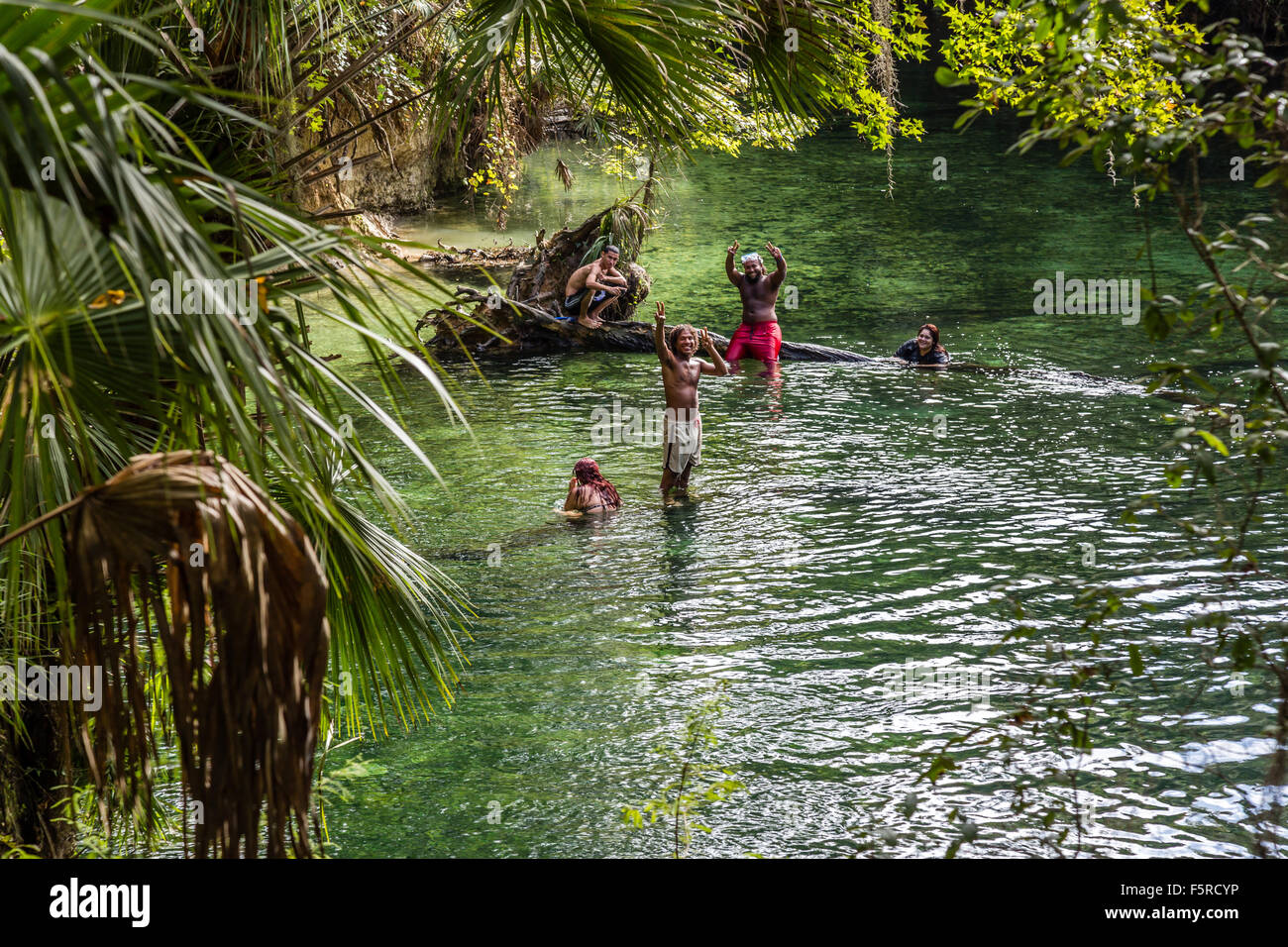 St johns river, florida hi-res stock photography and images - Alamy