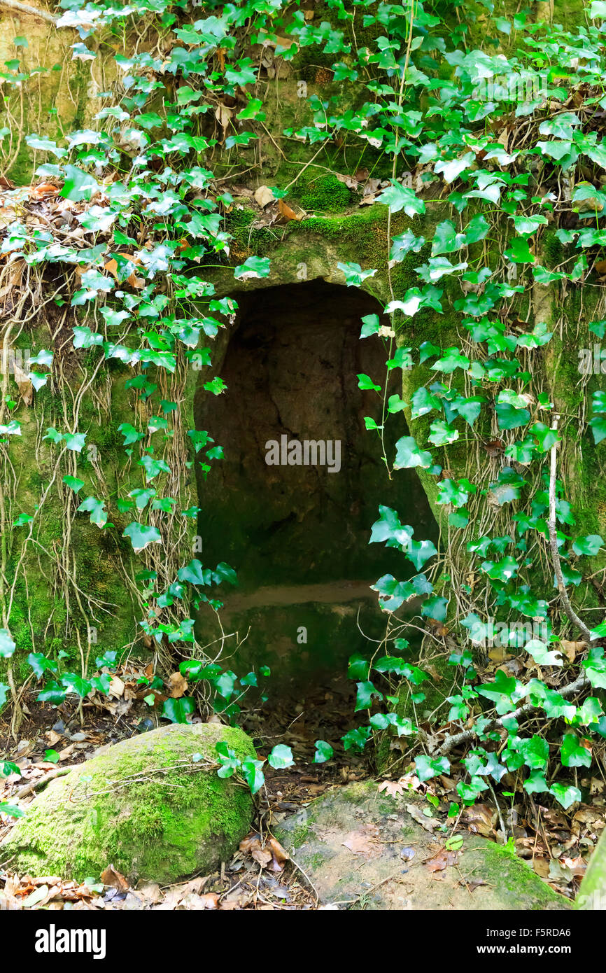 In ivy cave hi-res stock photography and images - Alamy