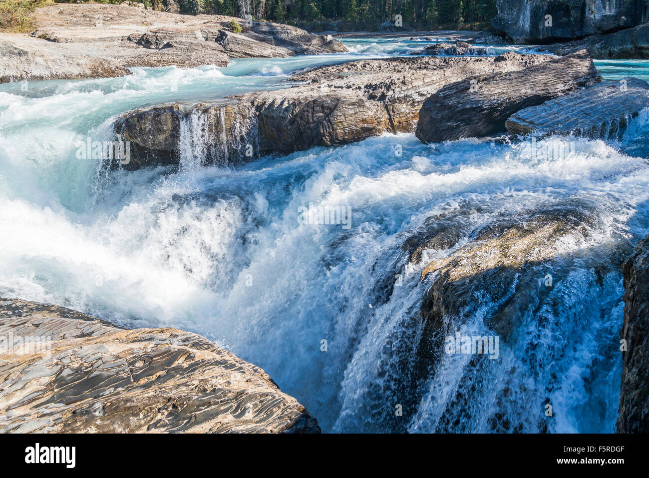 Natural Bridge rapids and waterfall, Kicking Horse River, Yoho National ...