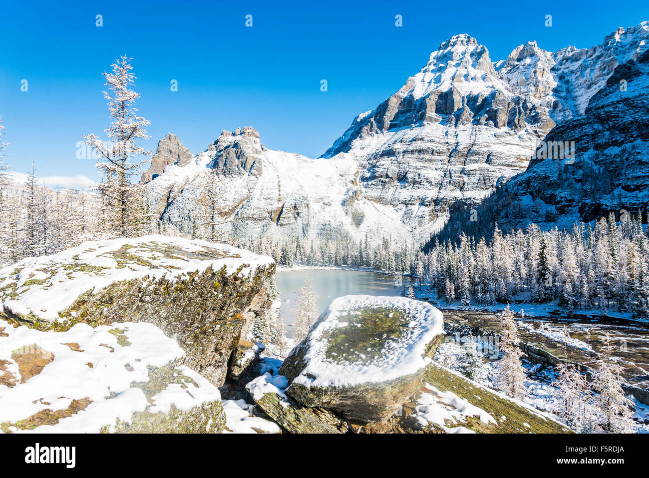 Huber park hi-res stock photography and images - Alamy