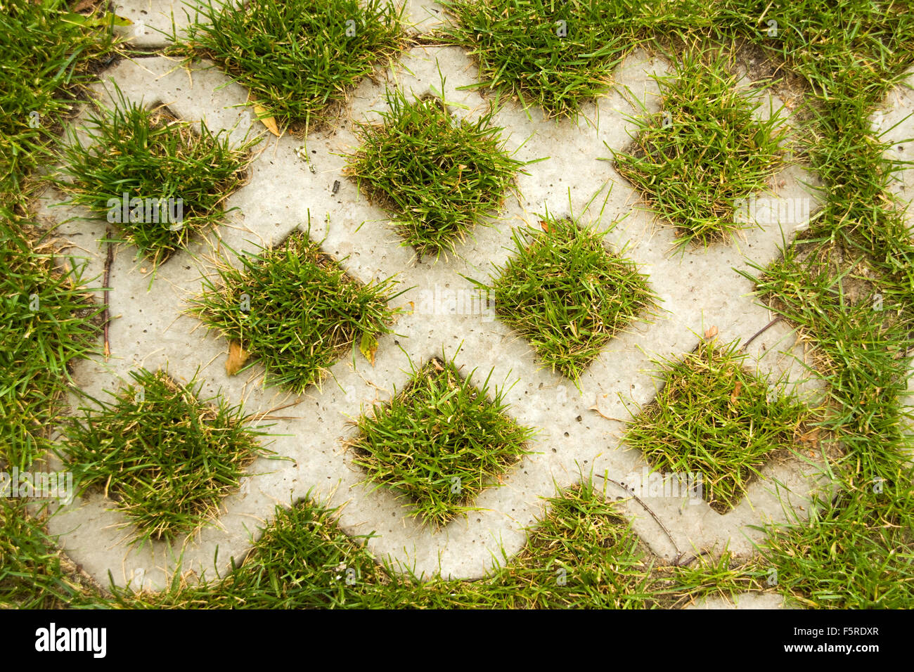Green grass cells. Texture or background Stock Photo - Alamy