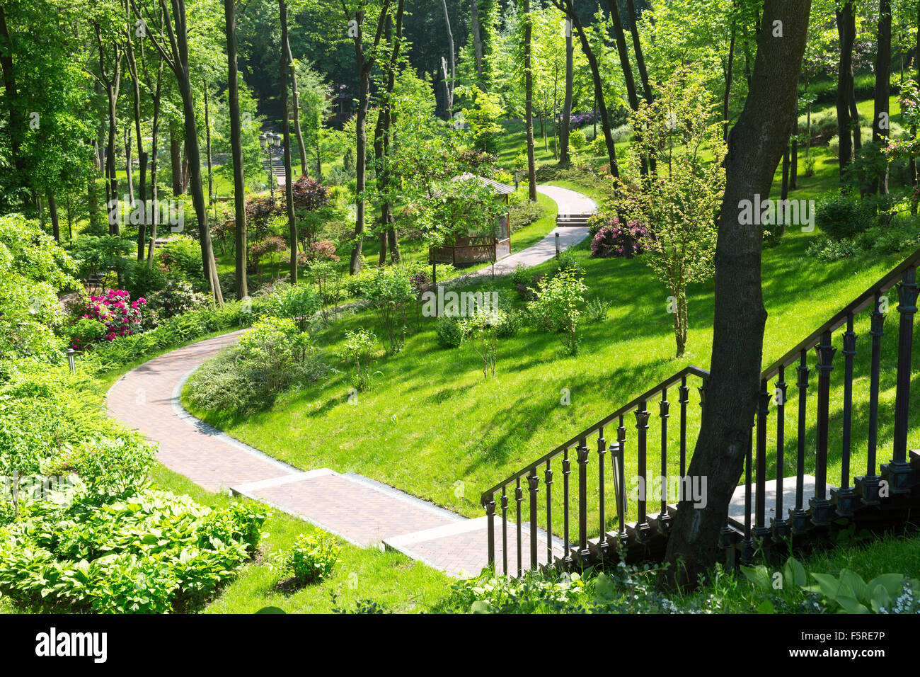 Beautiful spring green park with long alley Stock Photo - Alamy