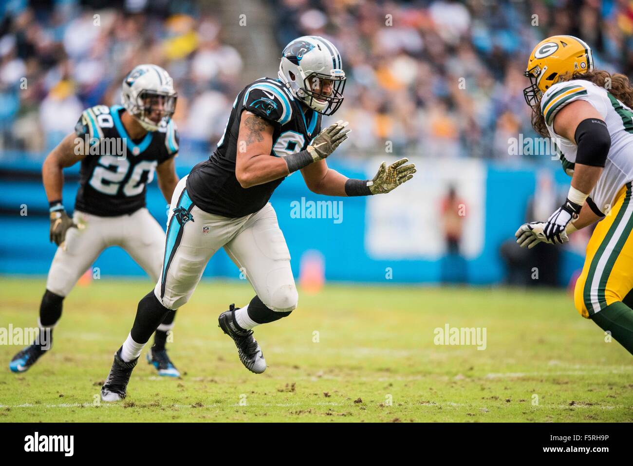 Carolina Panthers defensive end Wes Horton (96) during the NFL football ...