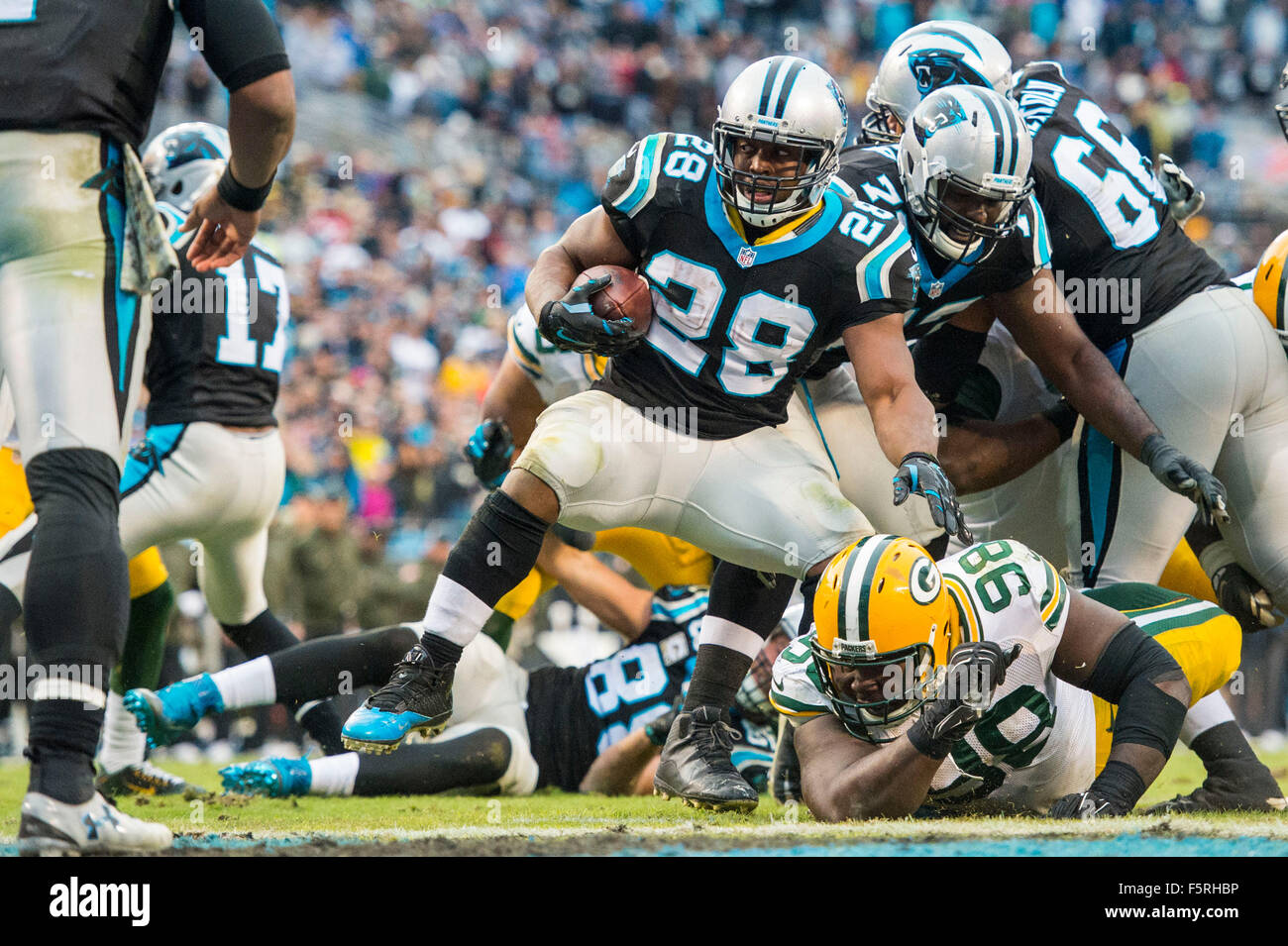 Carolina Panthers running back Jonathan Stewart (28) during the NFL football game between the ...