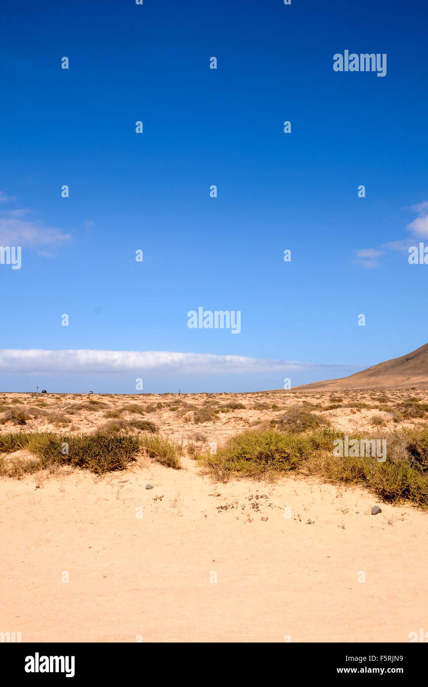 Dry Desert Landscape Stock Photo - Alamy