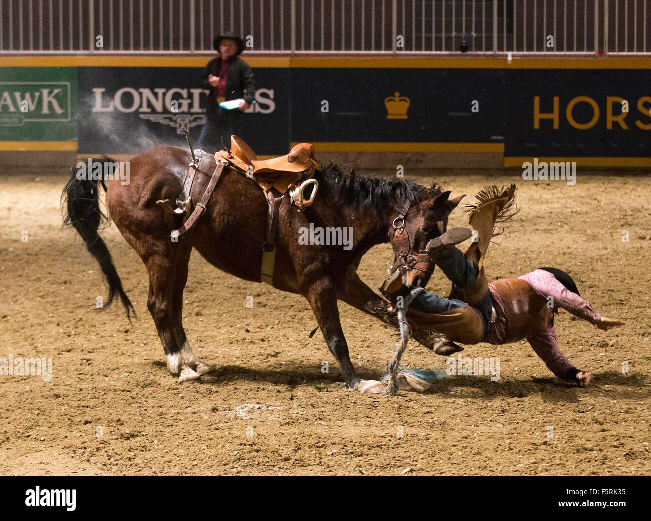 Toronto, Canada. 8th Nov, 2015. Cowboy Logan Young falls from his horse ...