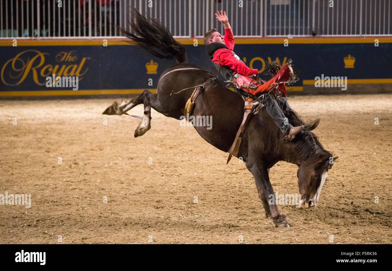 Toronto, Canada. 8th Nov, 2015. Cowboy Blade Elliot competes during the ...