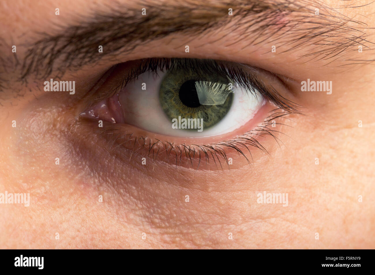 Closeup view of male eye Stock Photo - Alamy