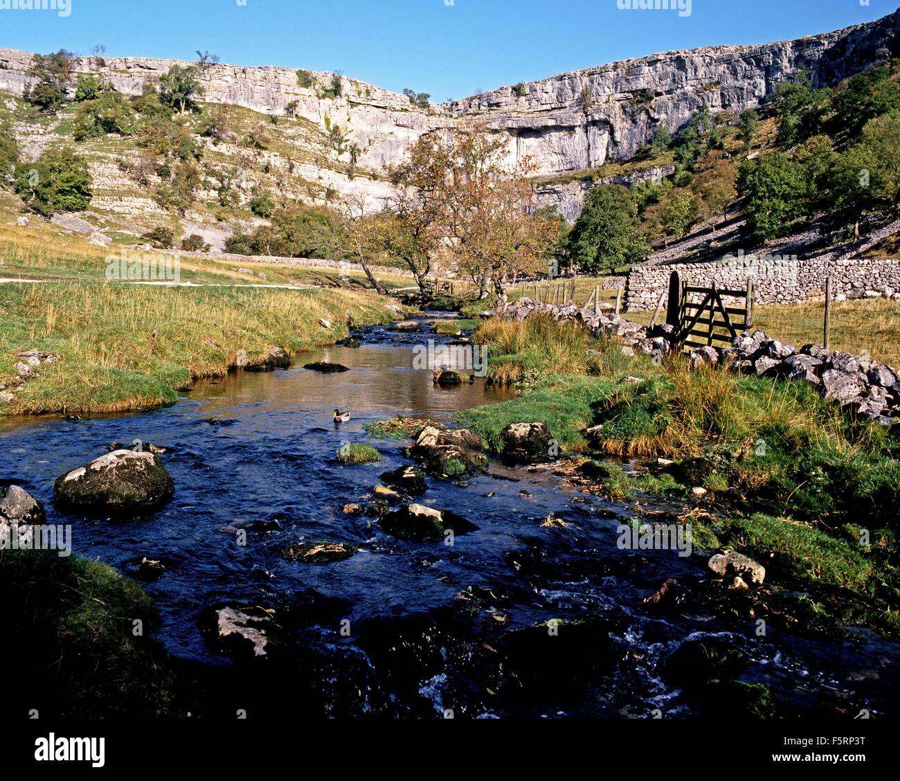 View of Malham Cove and beck in the Yorkshire Dales, Malham, Yorkshire ...