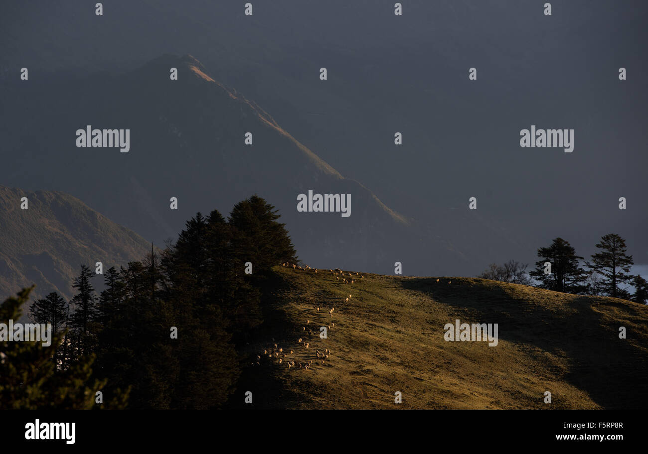 Baoxing county hi-res stock photography and images - Alamy