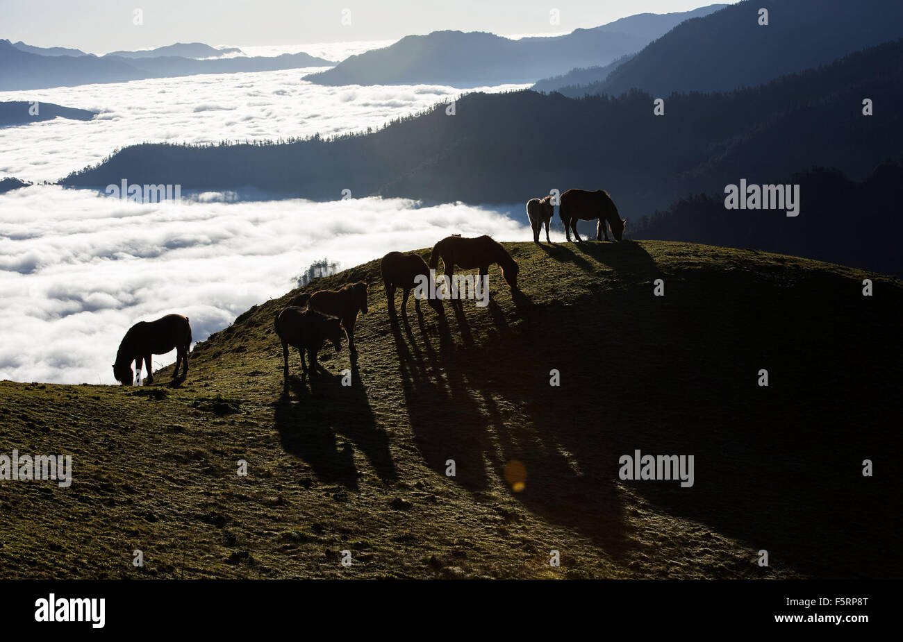 Baoxing county hi-res stock photography and images - Alamy