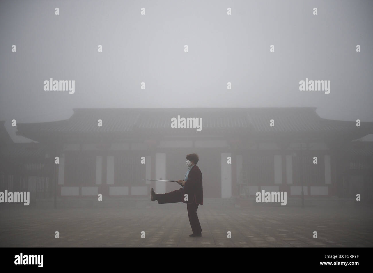 Yinchuan, China's Ningxia Hui Autonomous Region. 9th Nov, 2015. A woman ...