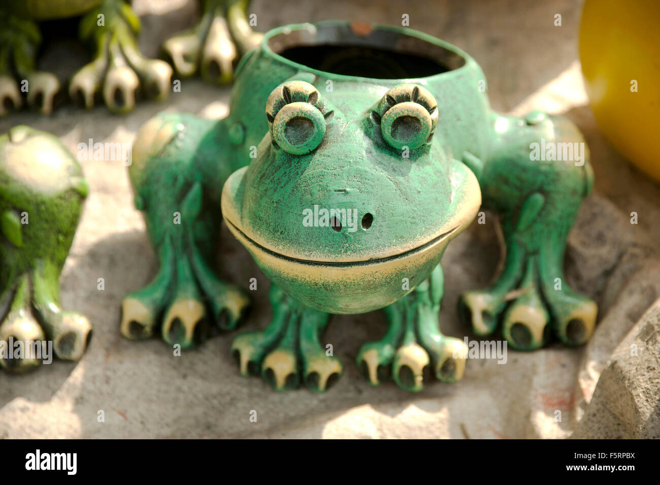 Frogs of india hi-res stock photography and images - Alamy