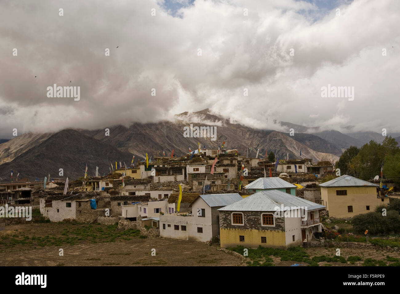 Village in spiti valley, himachal pradesh, india, asia Stock Photo - Alamy