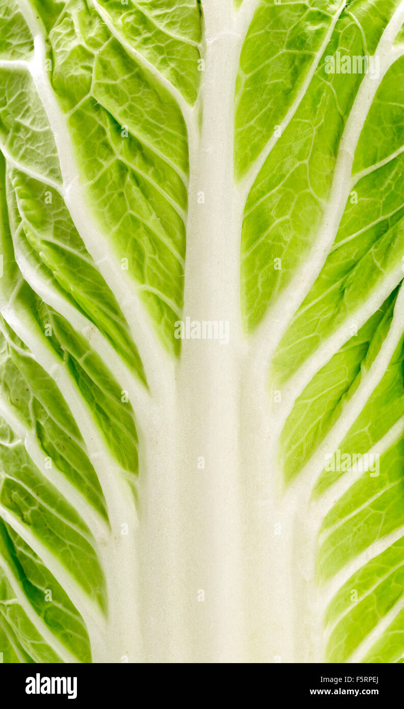 Green cabbage macro texture. Close-up photo. Fresh vegetables Stock ...