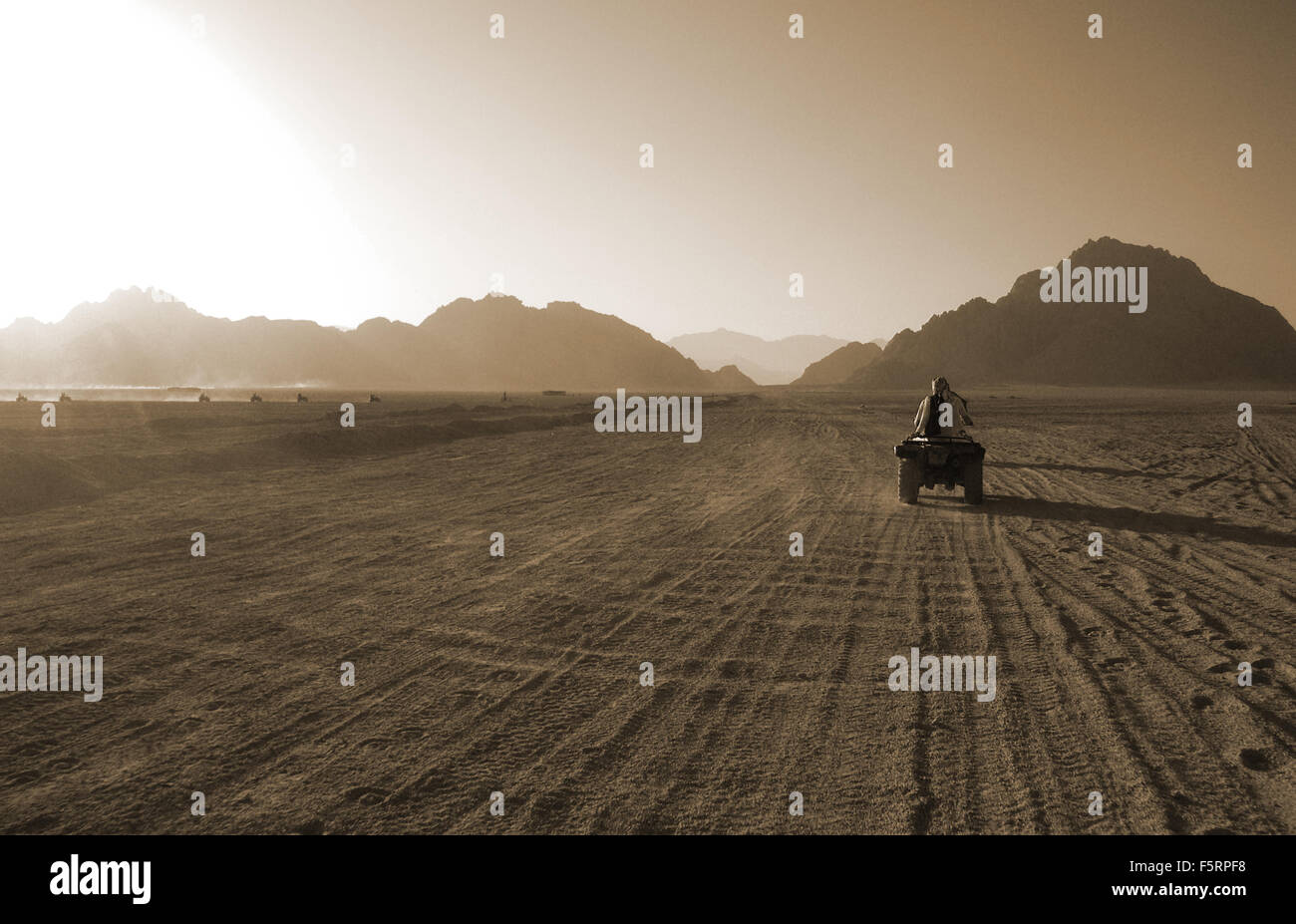 Four wheel motorbike rally in desert Stock Photo - Alamy