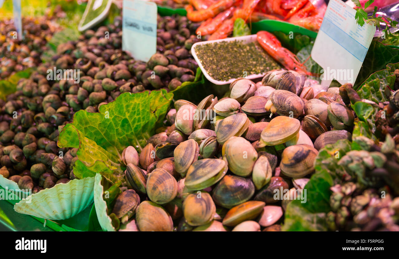Mollusks in nature hi-res stock photography and images - Alamy