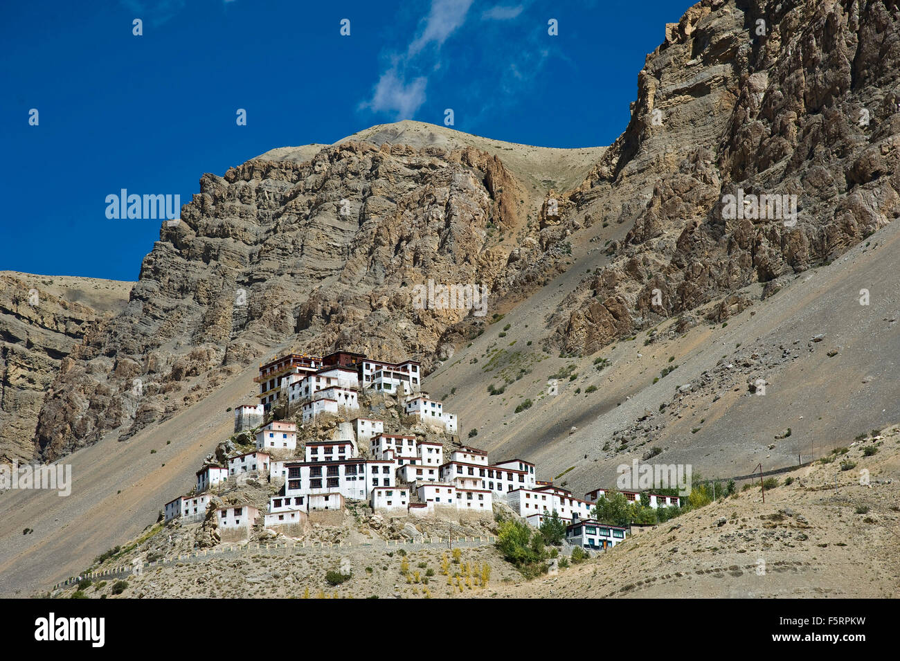 Key monastery, spiti valley, himachal pradesh, india, asia Stock Photo ...