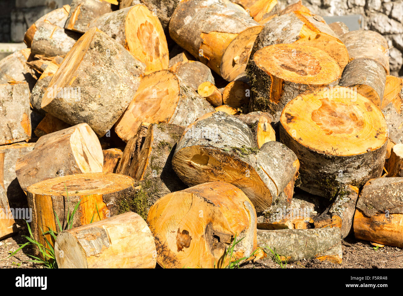 Big pile of cut tree trunks Stock Photo - Alamy
