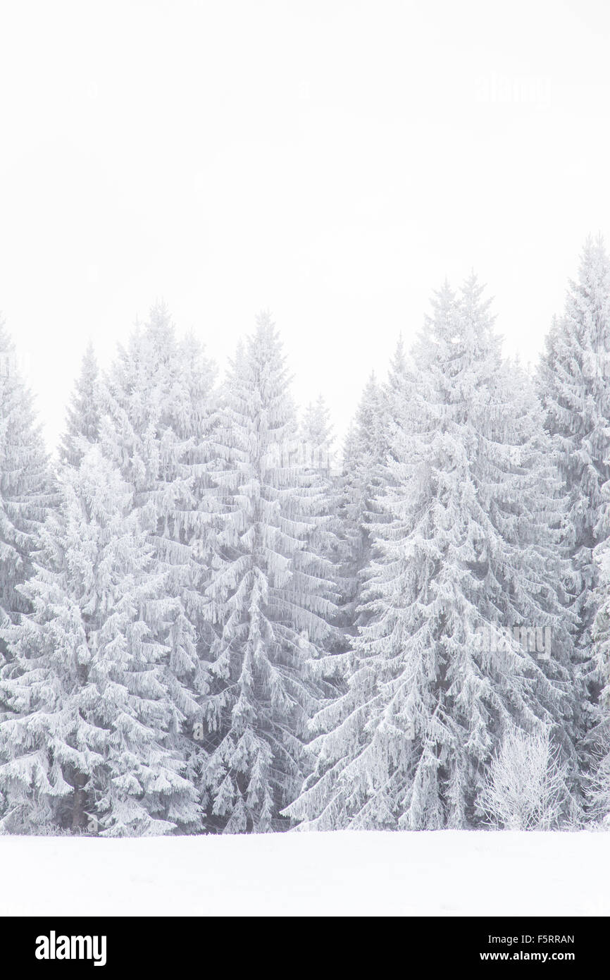 Sunne hi-res stock photography and images - Alamy