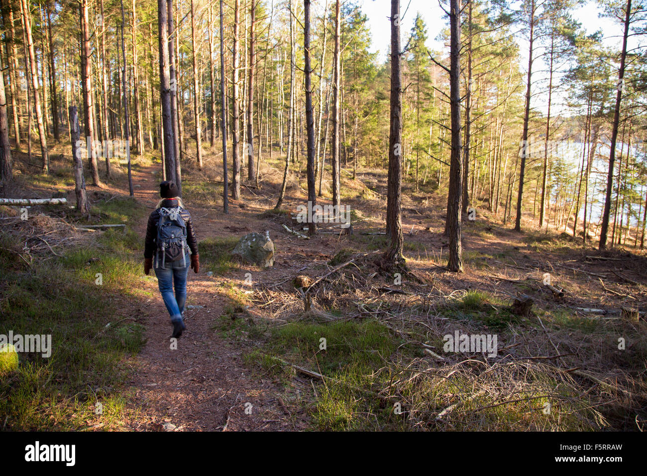 Sweden forest woman walk hi-res stock photography and images - Alamy
