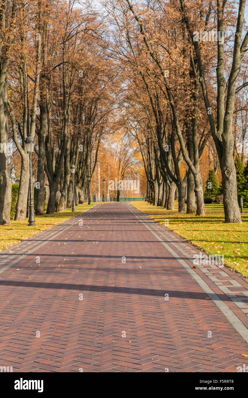 Landscape of nature park hi-res stock photography and images - Alamy