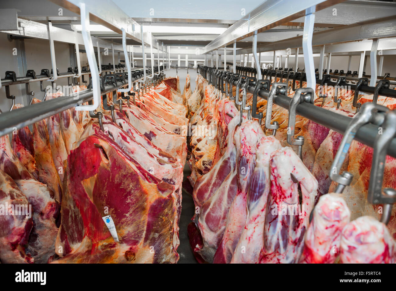 Beef Warehouse High Resolution Stock Photography and Images - Alamy