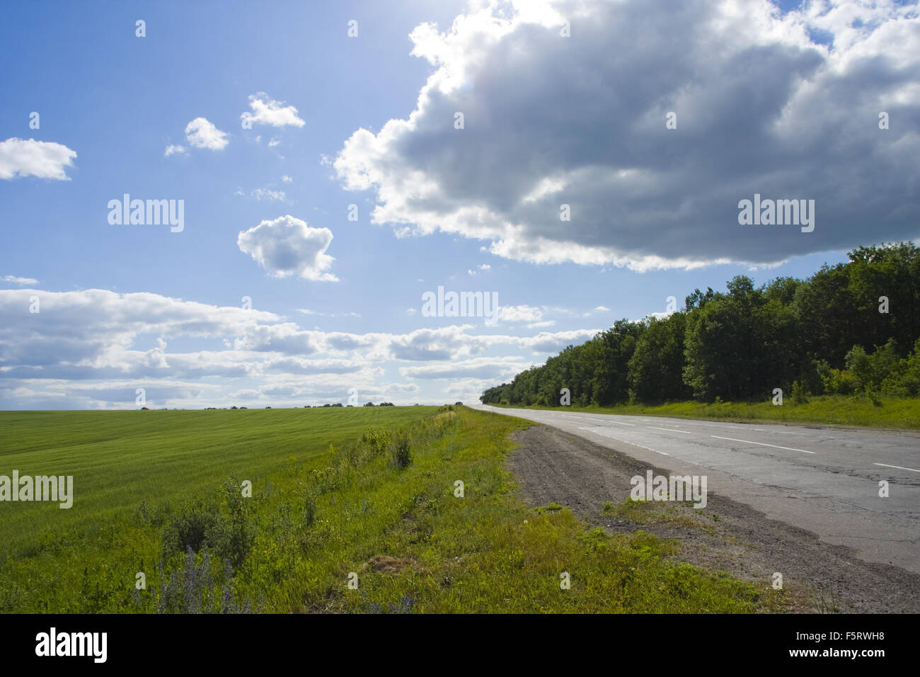 Nature. Green grass, road and blue sky Stock Photo - Alamy