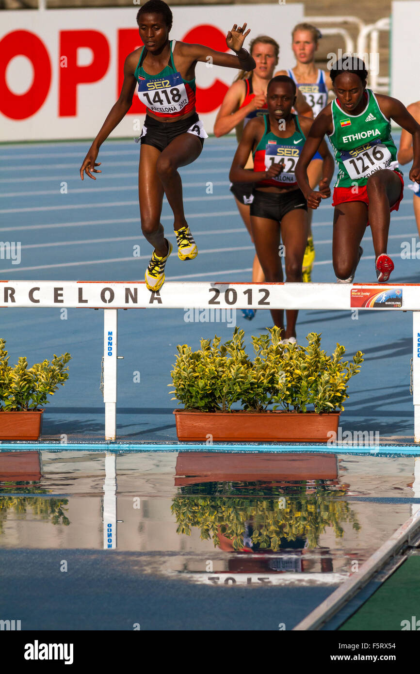 3000m steeplechase women final hi-res stock photography and images - Alamy