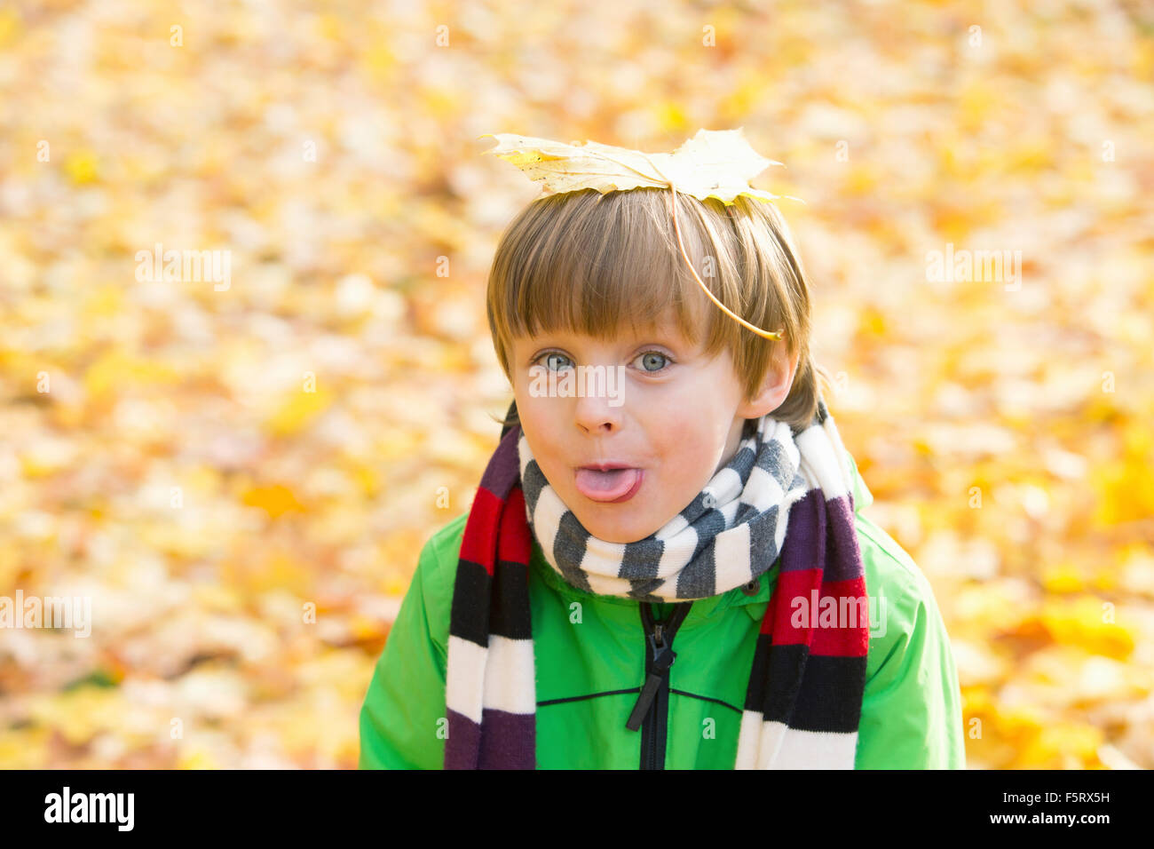 portrait of a boy in park in the fall with a leaf on his head and ...