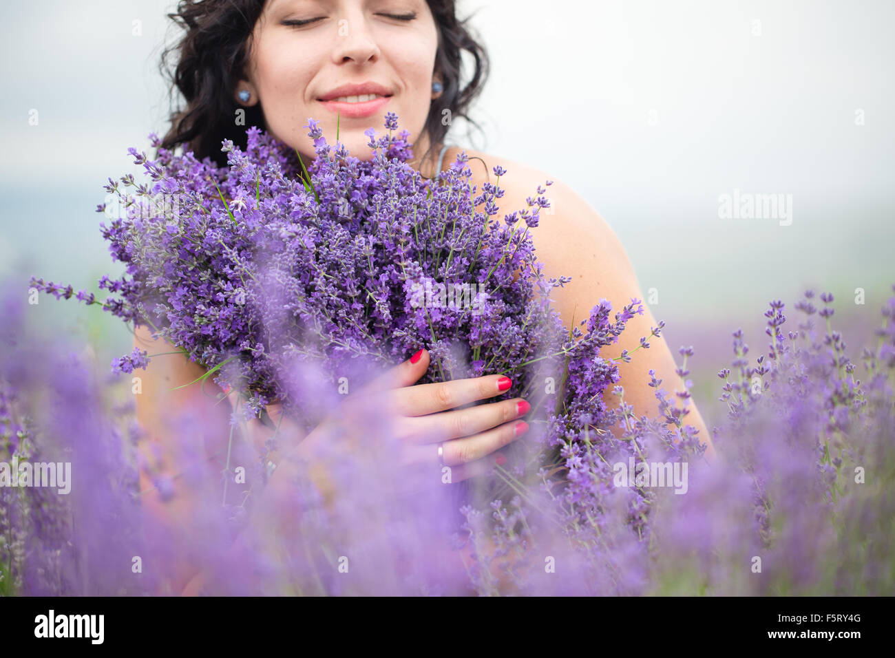 Young woman harvesting lavender flowers Stock Photo - Alamy