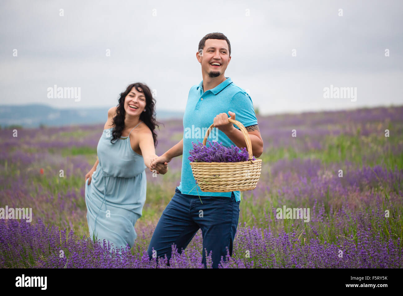 Young couple harvesting lavender flowers Stock Photo - Alamy