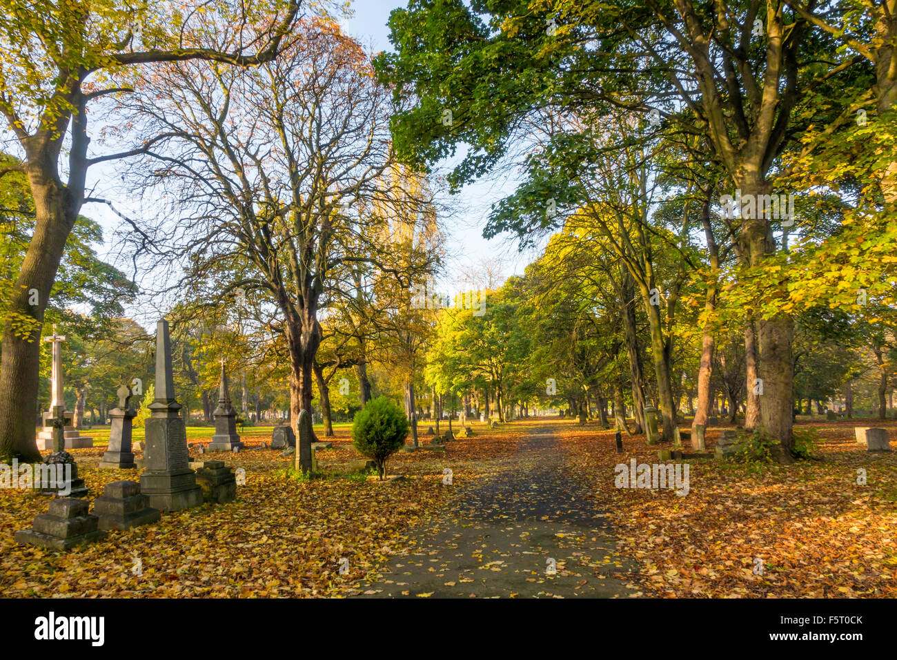 Autumn sunlight in the atmospheric Linthorpe Cemetery Nature Reserve ...