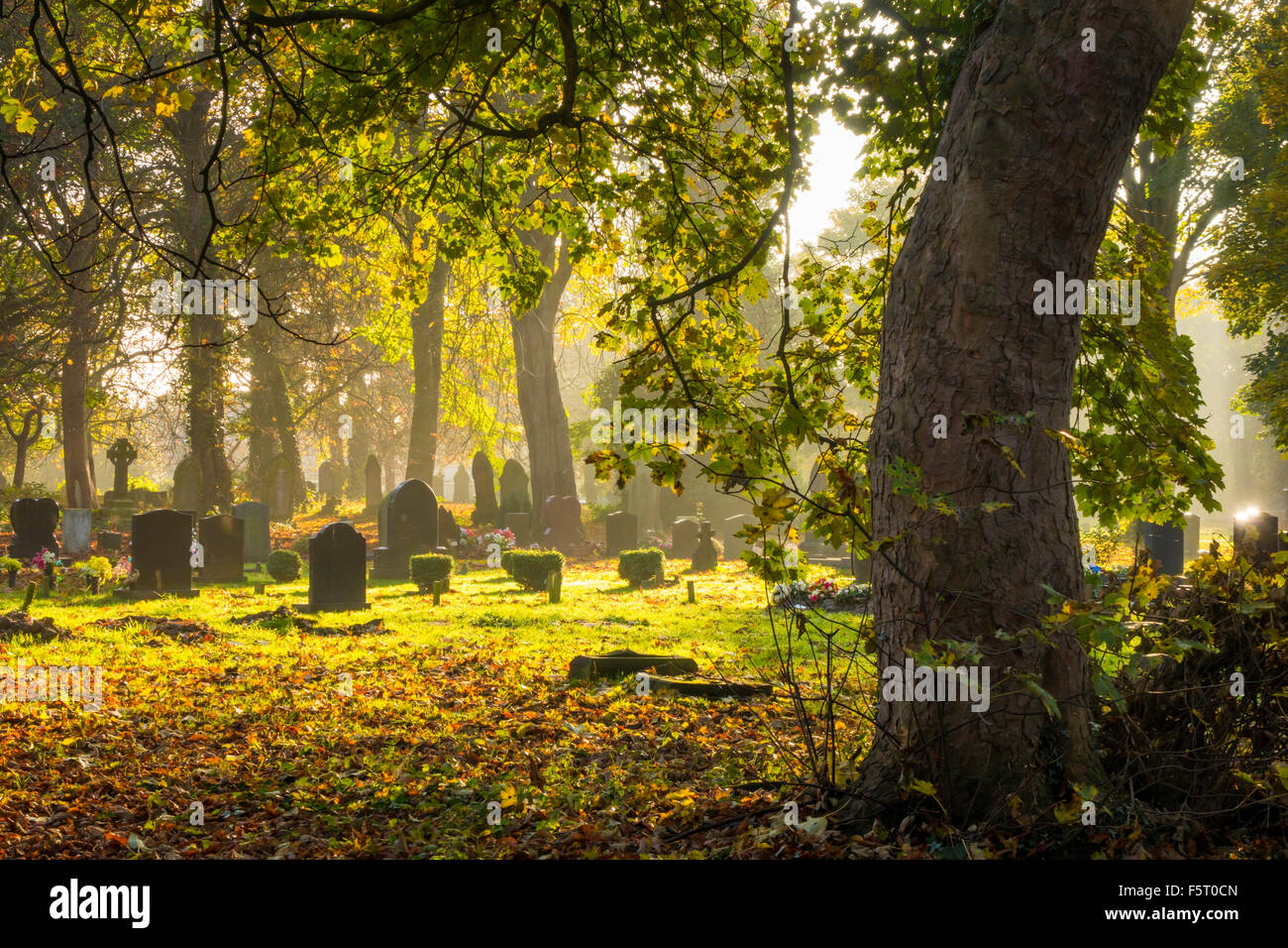 Linthorpe cemetery hi-res stock photography and images - Alamy