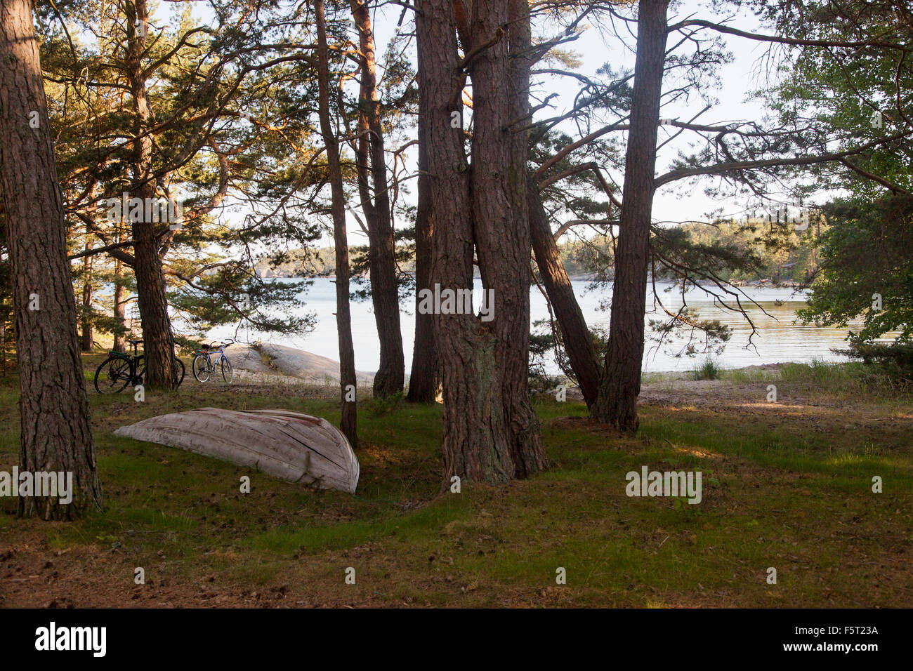 Horizontal trees and lake hi-res stock photography and images - Alamy