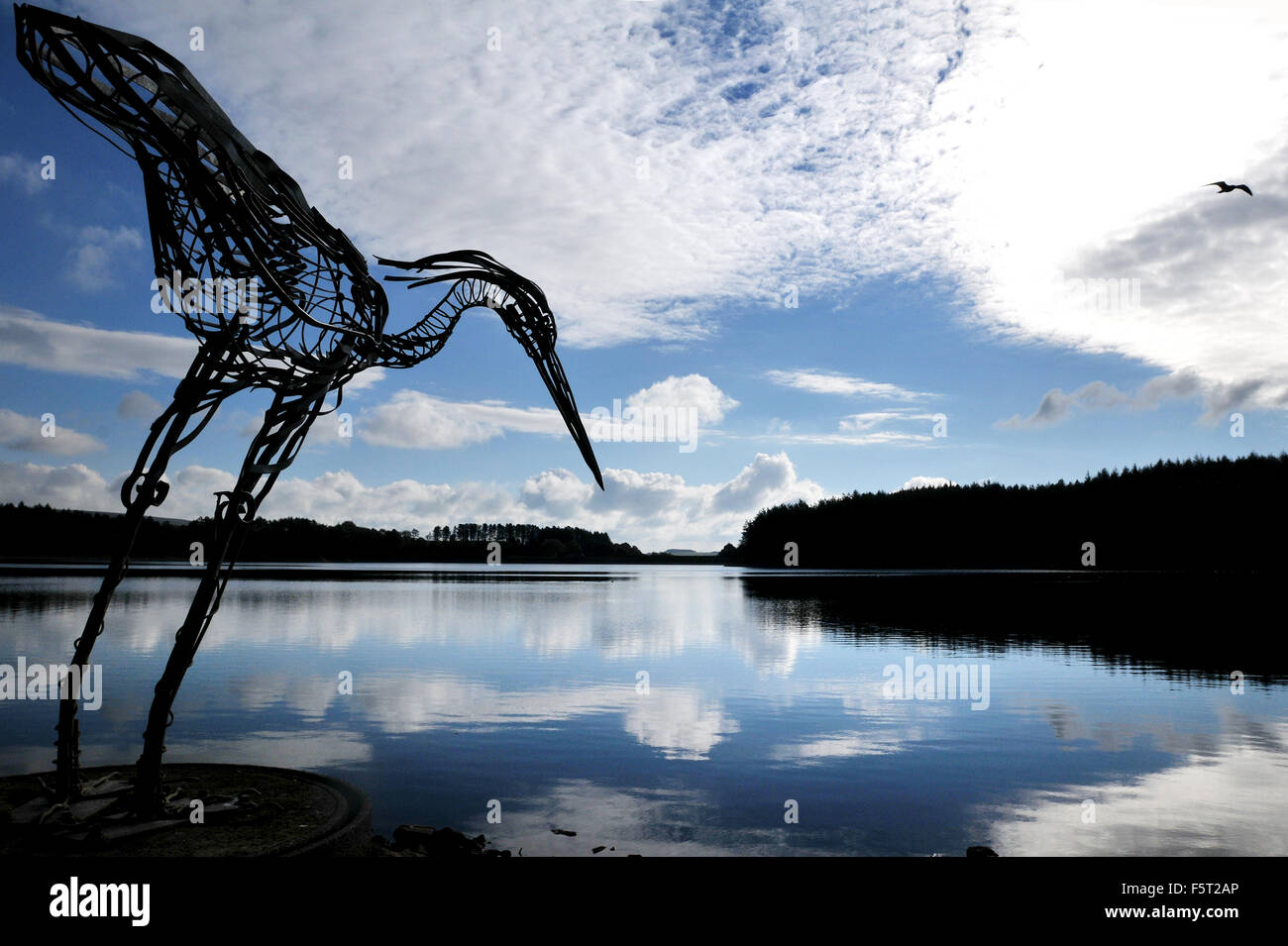 Autumn scenes at Entwistle Reservoir, Blackburn, Lancashire. The Wader ...
