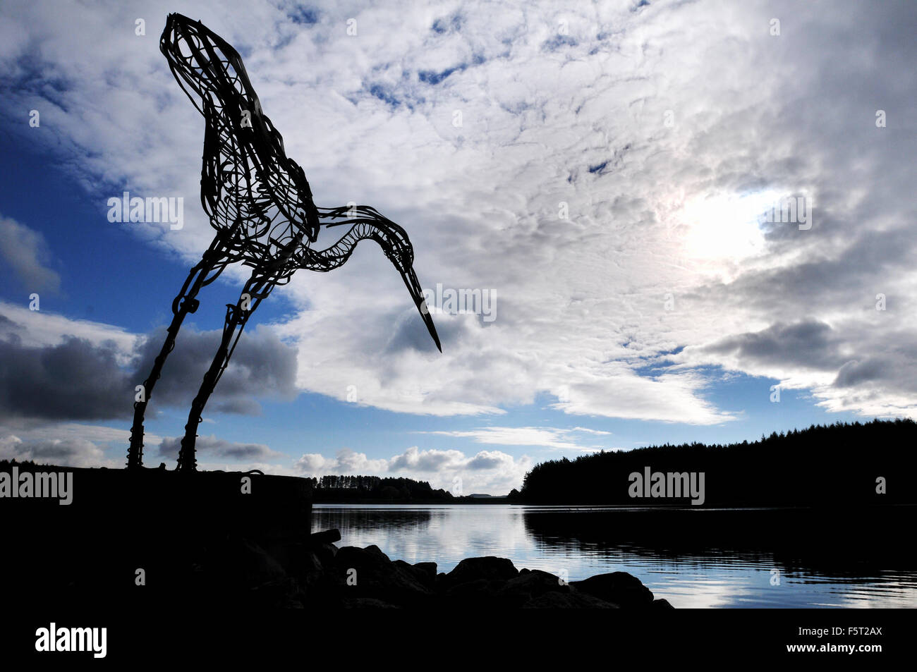 Autumn scenes at Entwistle Reservoir, Blackburn, Lancashire. The Wader ...