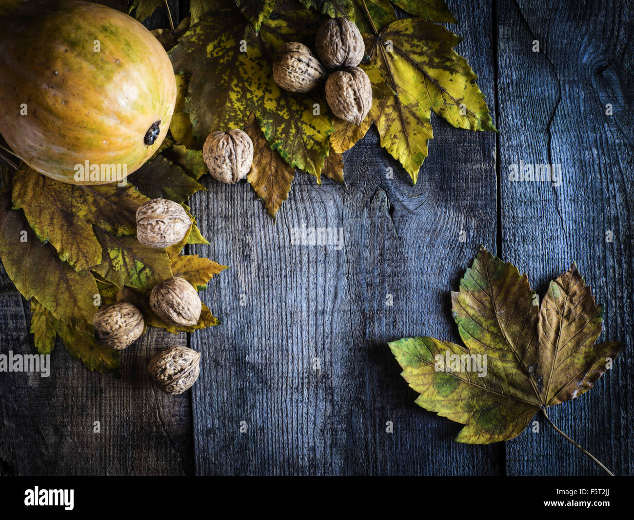 Igor pumpkin hi-res stock photography and images - Alamy