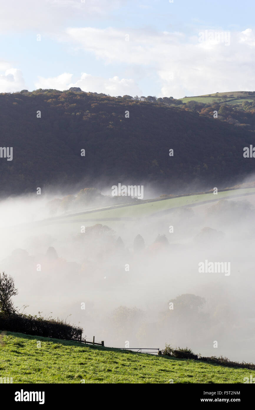 Teign valley,,field, sheep, path, landscape, united kingdom, tree ...