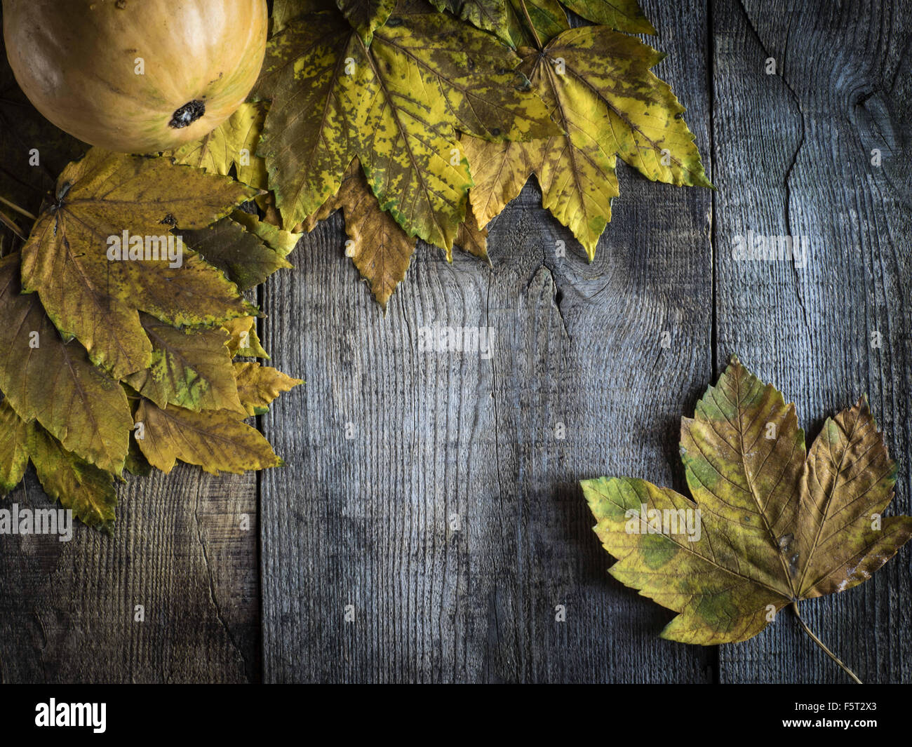 Nov. 1, 2015 - Autumn background with leaves and pumpkin © Igor ...