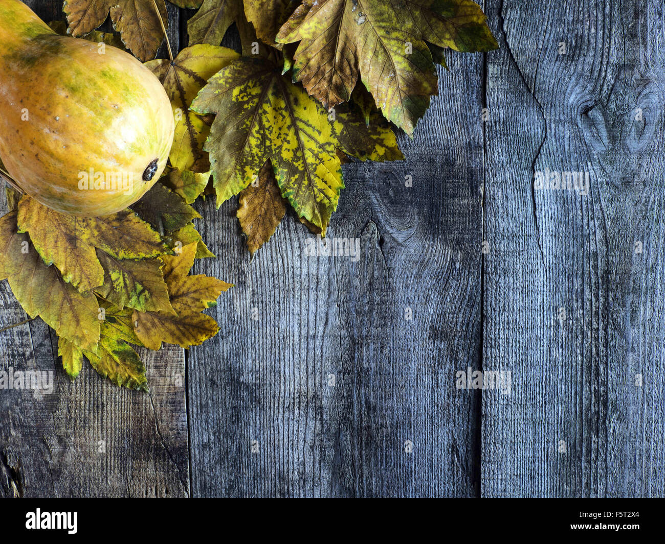 Nov. 1, 2015 - Autumn background with leaves and pumpkin © Igor ...