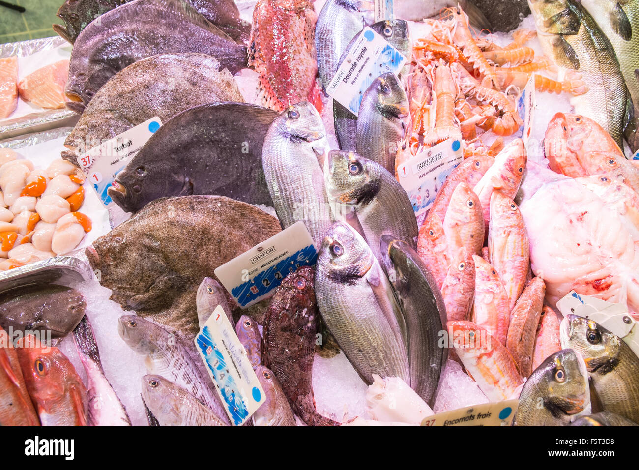 Fish stall at indoor market at Narbonne,Aude,South,France,Market,canal ...
