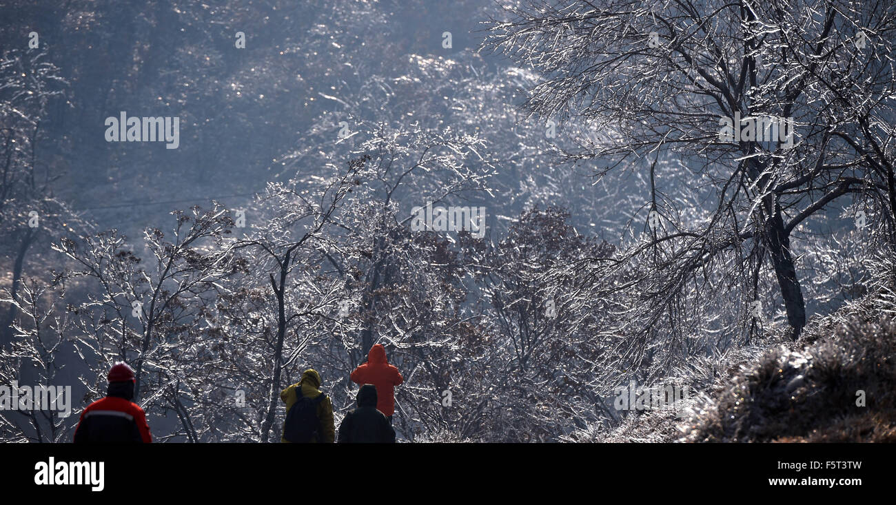 Wafangdian. 9th Nov, 2015. Trees cloaked with ice are seen on a winter ...