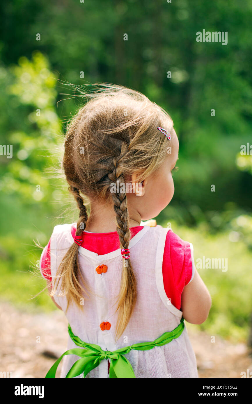 Braided Hair Back View