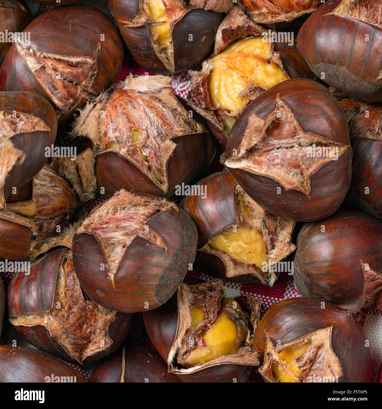background chestnut open and cooked Stock Photo - Alamy