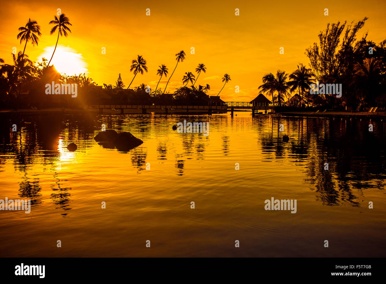 Sunset in a tropical paradise with palm trees and ocean Stock Photo - Alamy