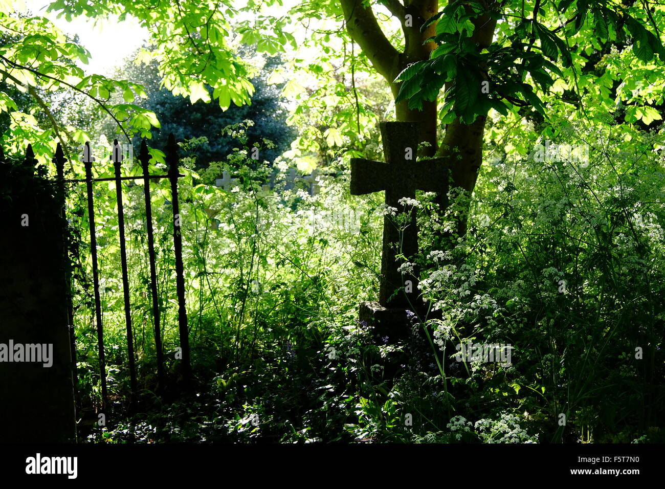 Graveyard with flowers hi-res stock photography and images - Alamy